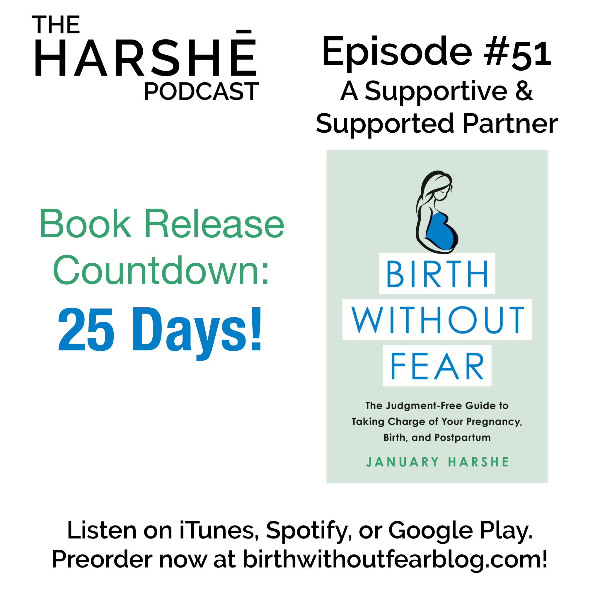 The Harshe Podcast – Episode #51: A Supportive & Supported Partner ...